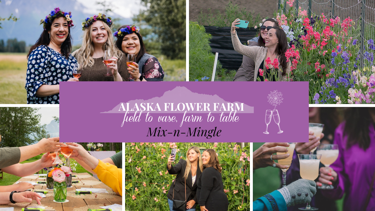 All Dahlia'd Up Flower Farm LLC – Alaska Flower Farm Mix-n-Mingle in ...